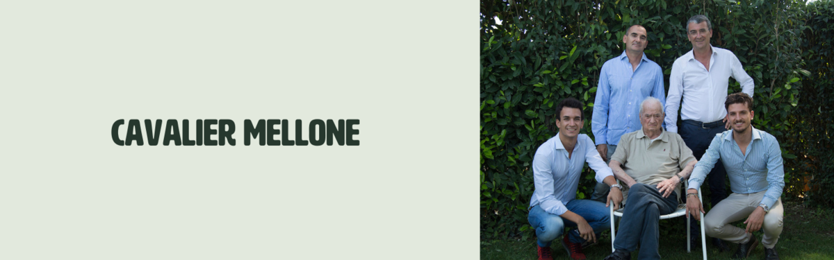 Cavalier Mellone - Weltweit - Donauwald